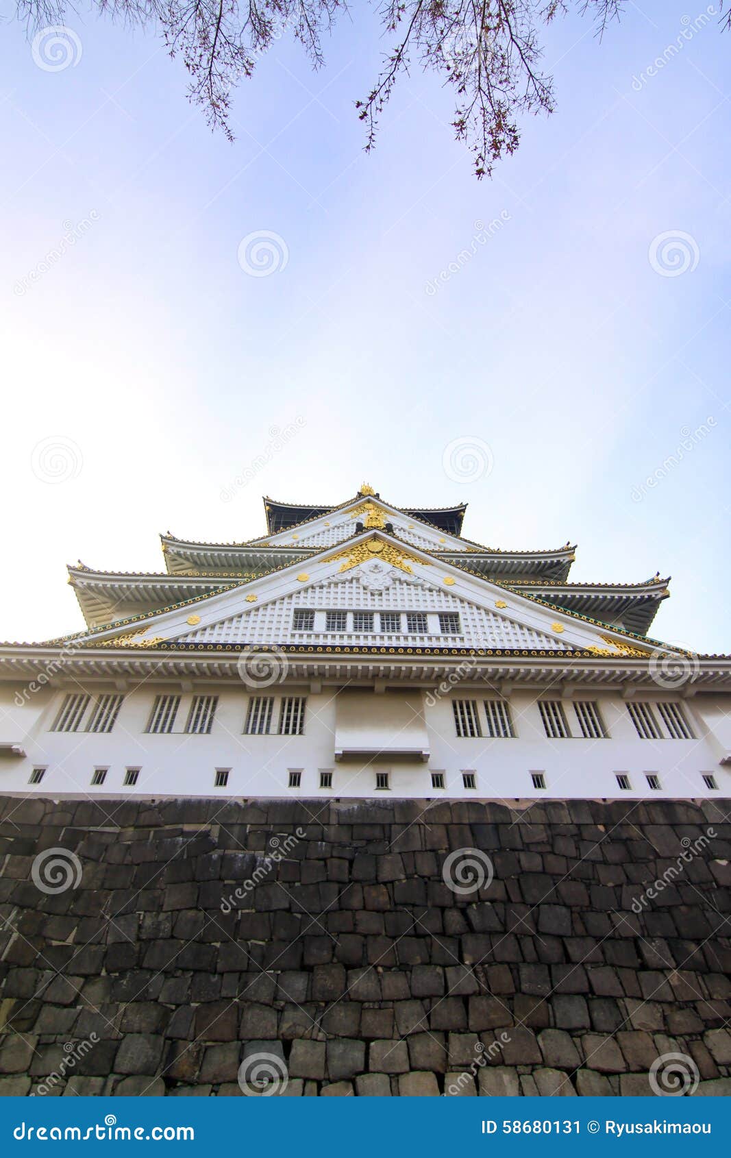 Huge Castle Royalty-Free Stock Photography | CartoonDealer.com #58680131