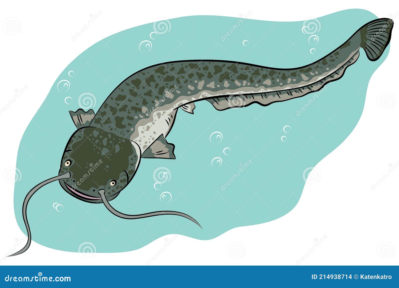 Huge Catfish Floating in the River. Stock Vector - Illustration of ...