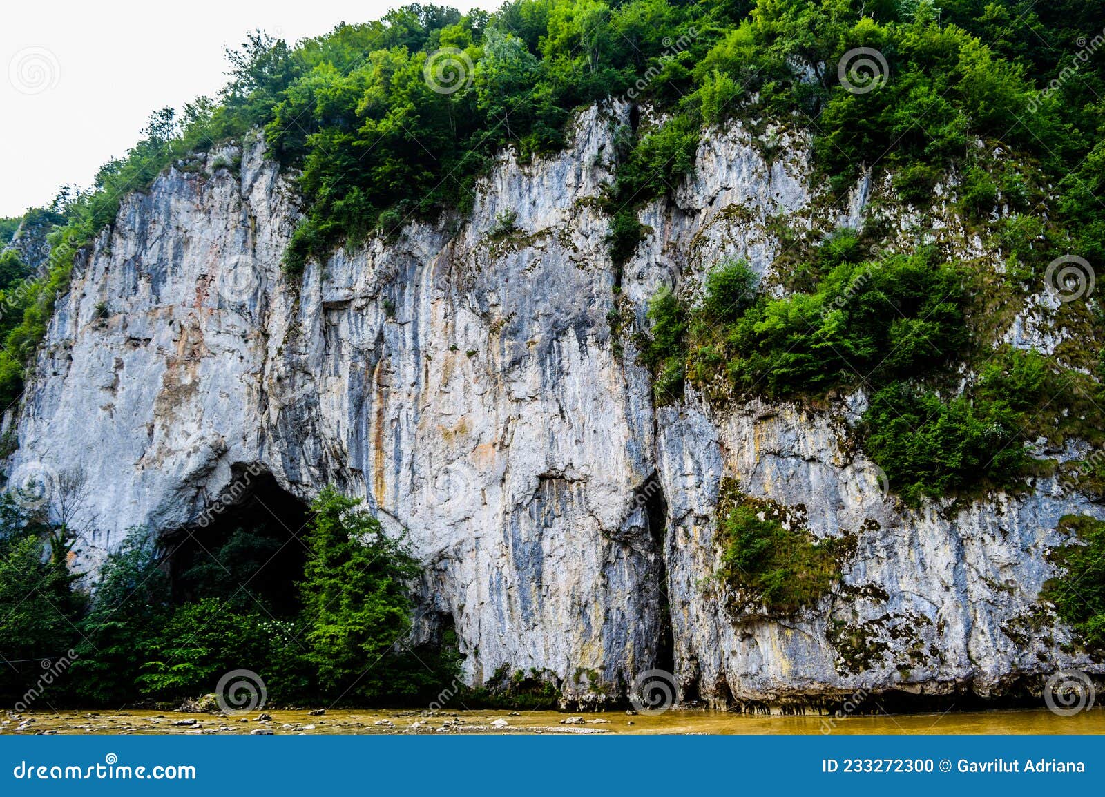 Huge Cave in Rocks Surrounded by Forest and a River Stock Photo - Image ...