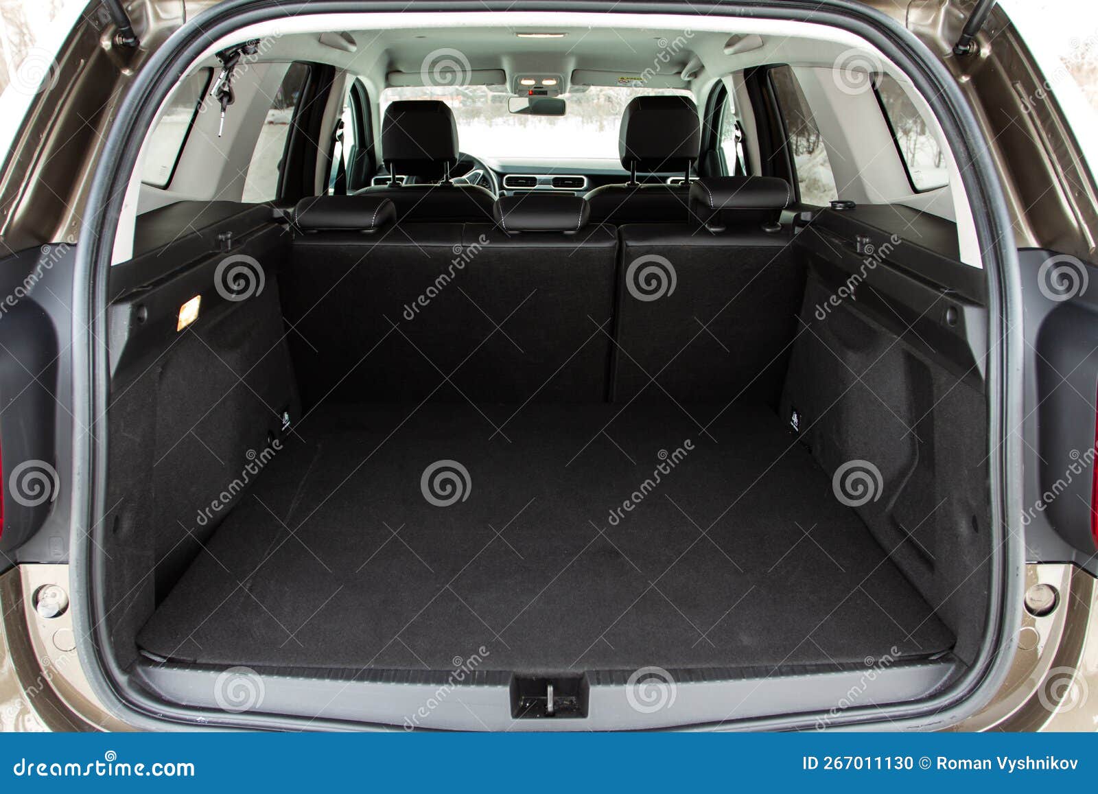 Huge, Clean and Empty Car Trunk in Interior of Compact Suv. Stock Photo ...