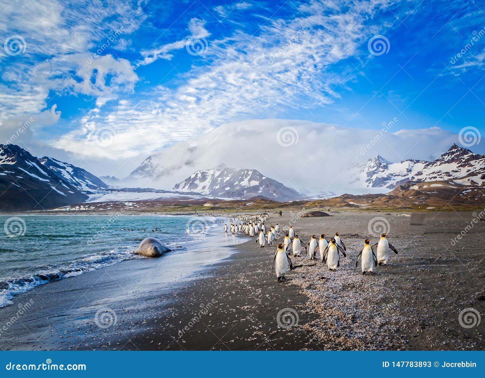 Huge Cloud of Katabatic Winds Looms Over Shoreline with King Penguins ...