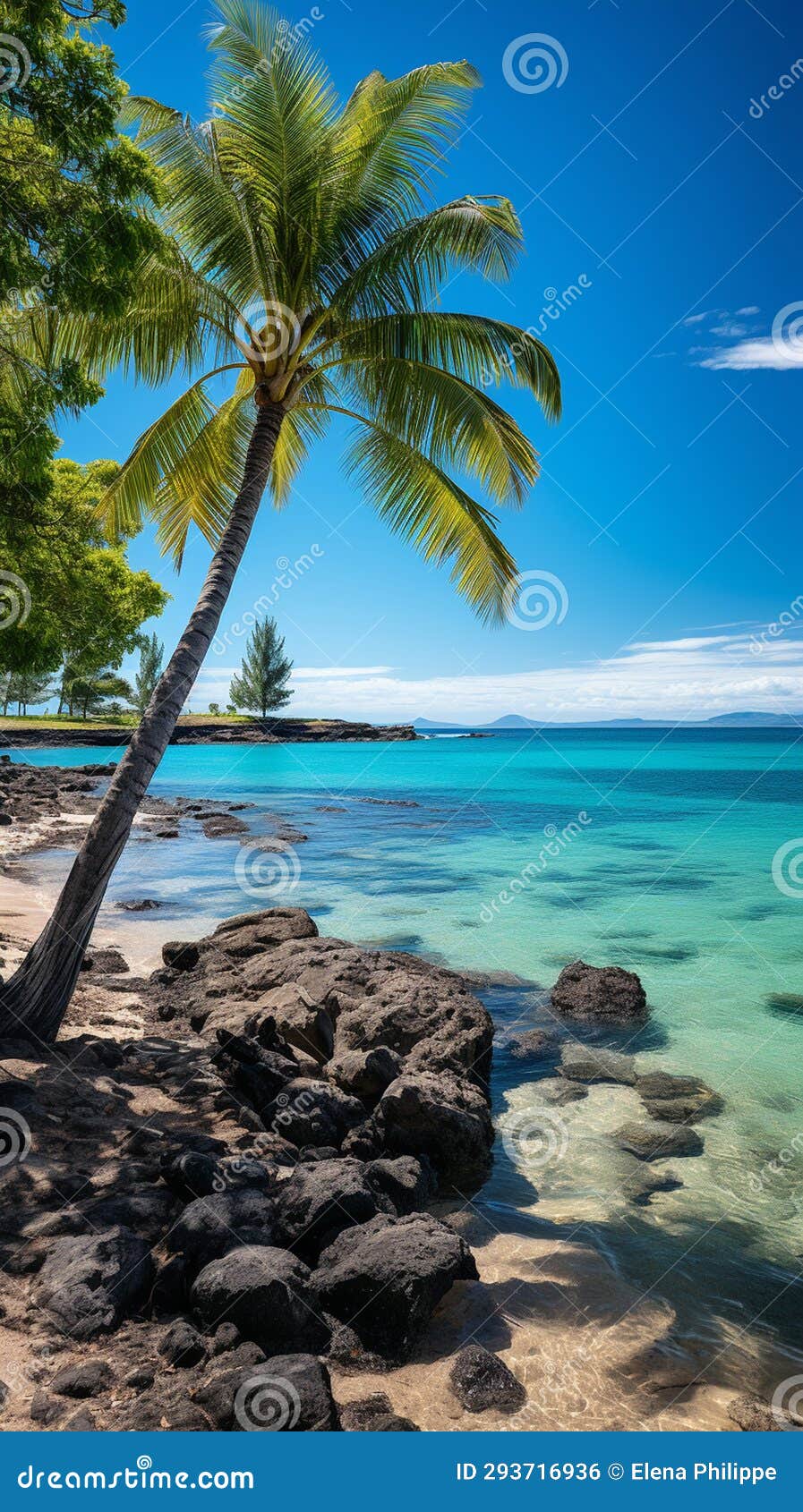 A Huge Coconat Palm Tree in the Corner of Maldives Islands. AI ...