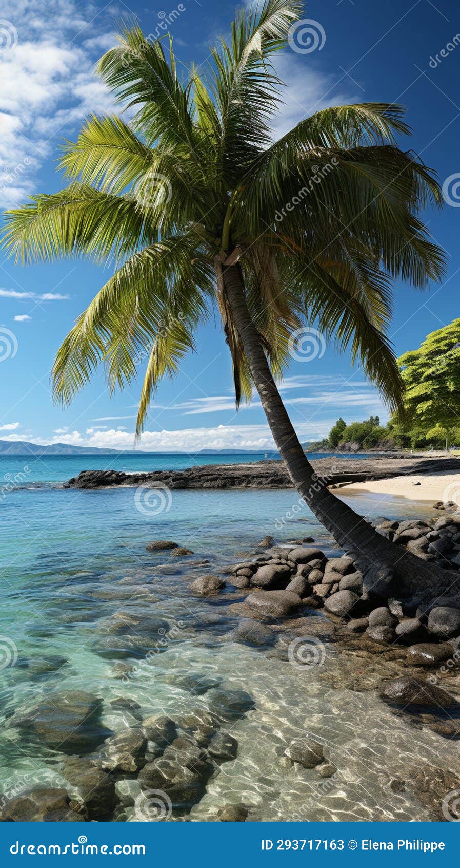 A Huge Coconat Palm Tree in the Corner of Maldives Islands. AI ...