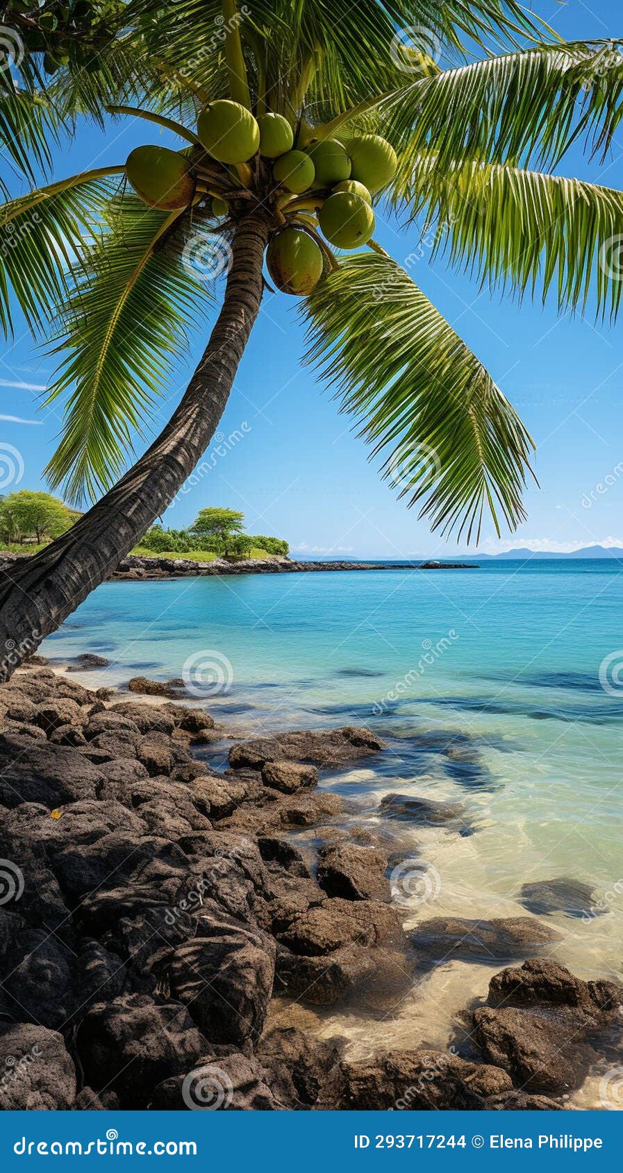 A Huge Coconat Palm Tree in the Corner of Maldives Islands. AI ...