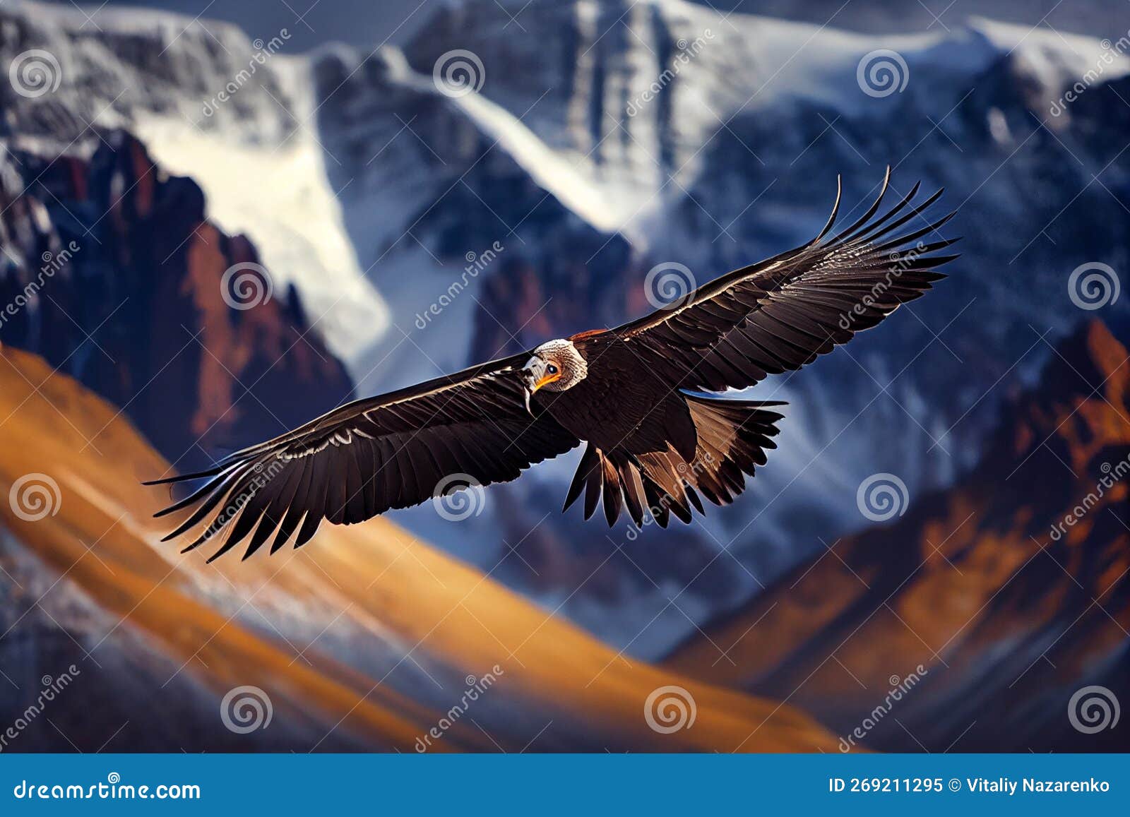 A Huge Condor Flies Against the Backdrop of Snow-capped Mountains. AI ...