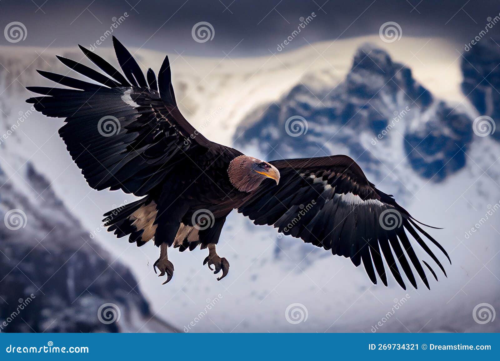 A Huge Condor Flies Against the Backdrop of Snow-capped Mountains. AI ...