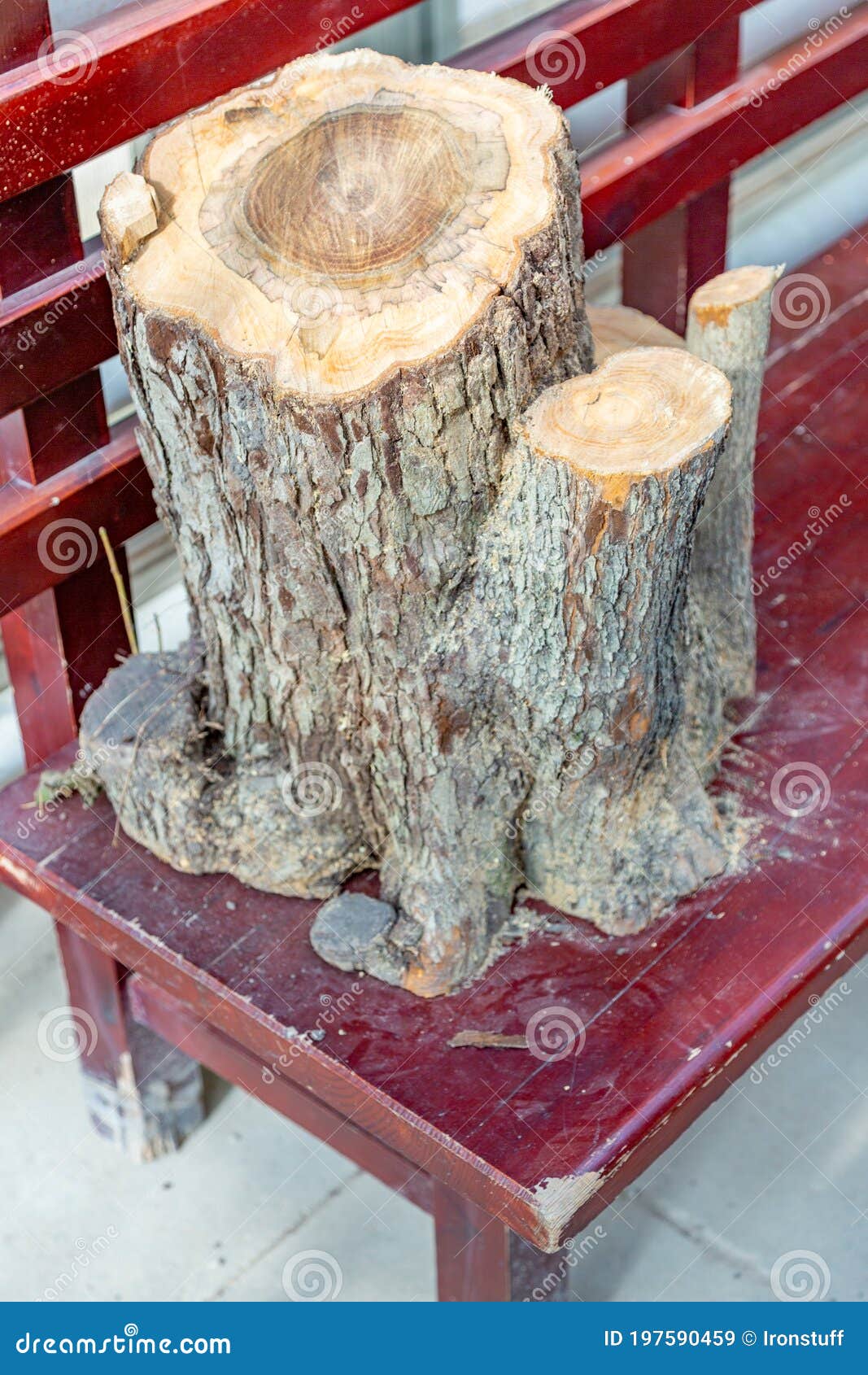 Decorative Stump of a Large Tree in the Garden Stock Image - Image of ...