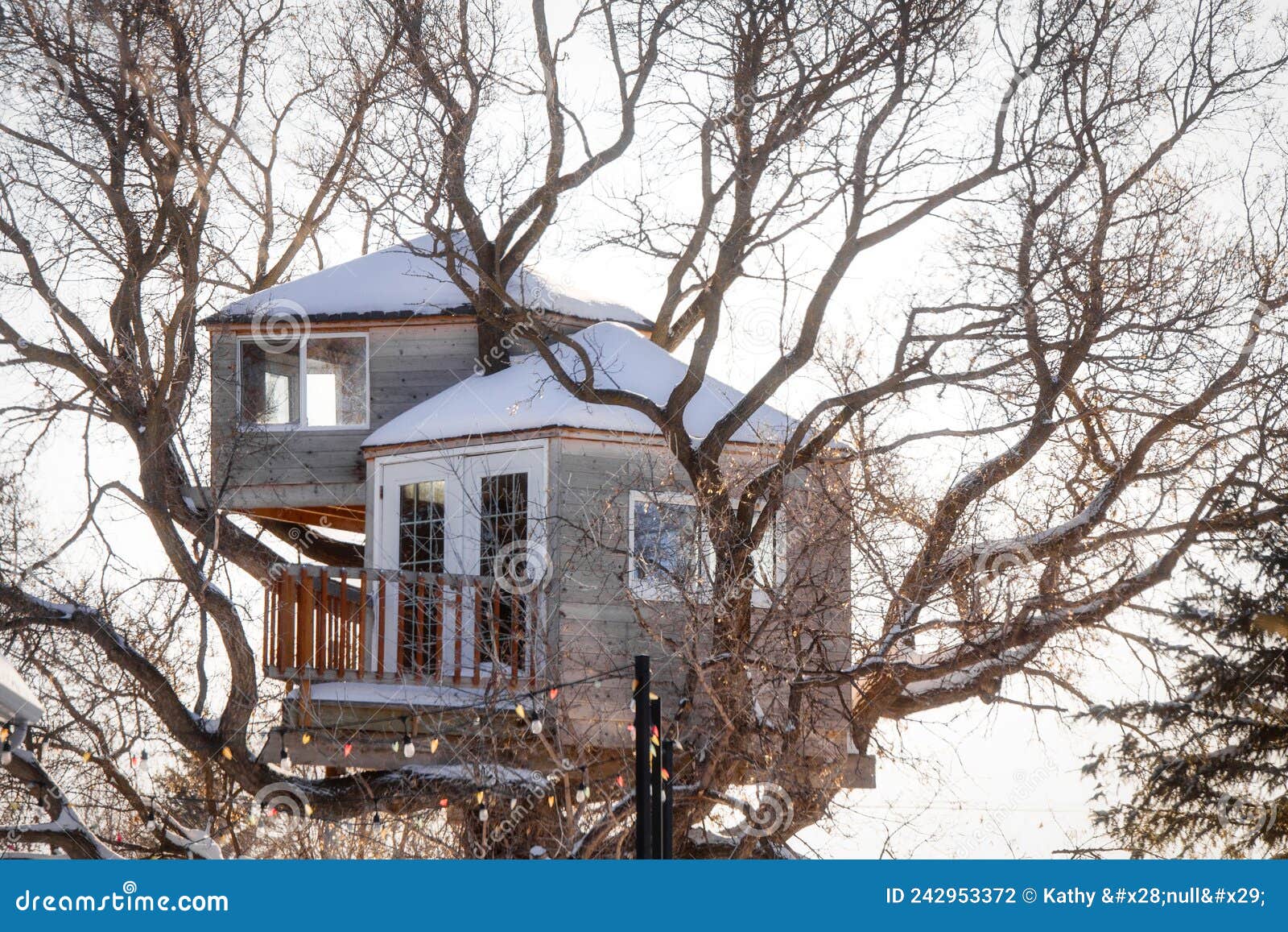 A Huge Fancy Treehouse in a Bare Tree Stock Photo - Image of elaborate ...