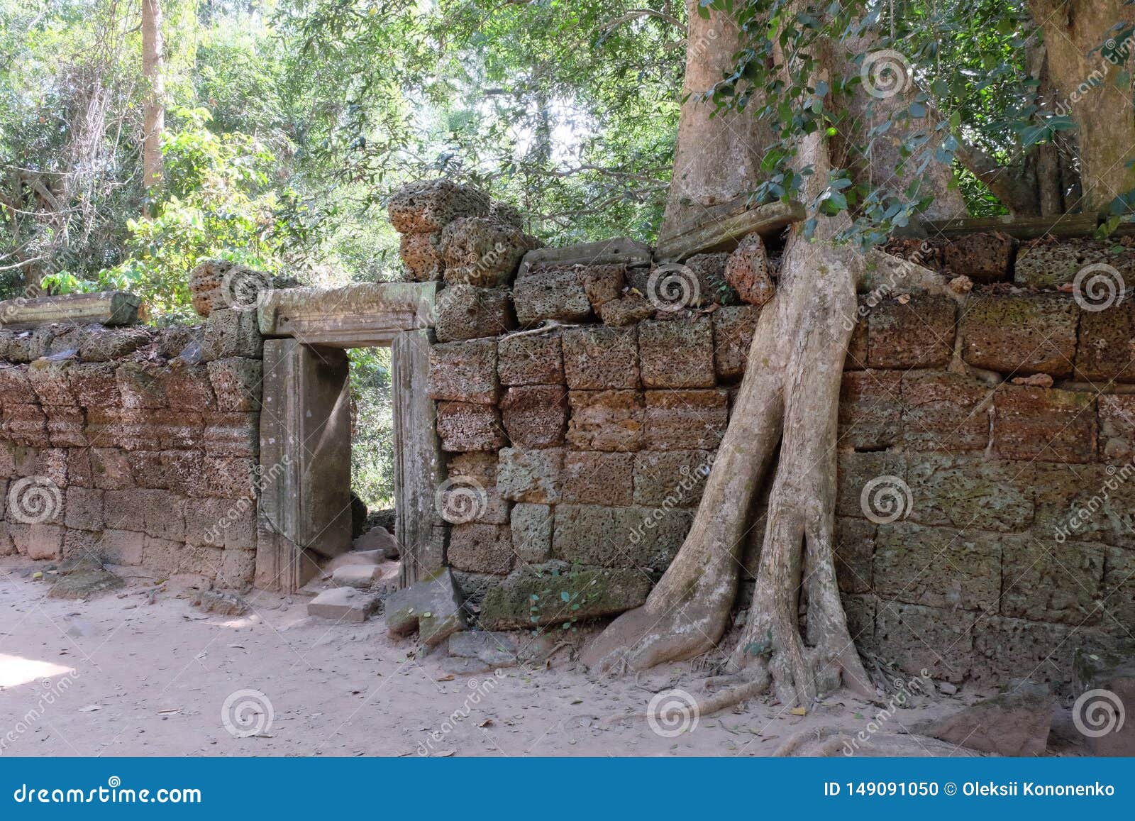 Ficus Grows On The Stairs Of An Ancient Dilapidated Temple. Ancient ...