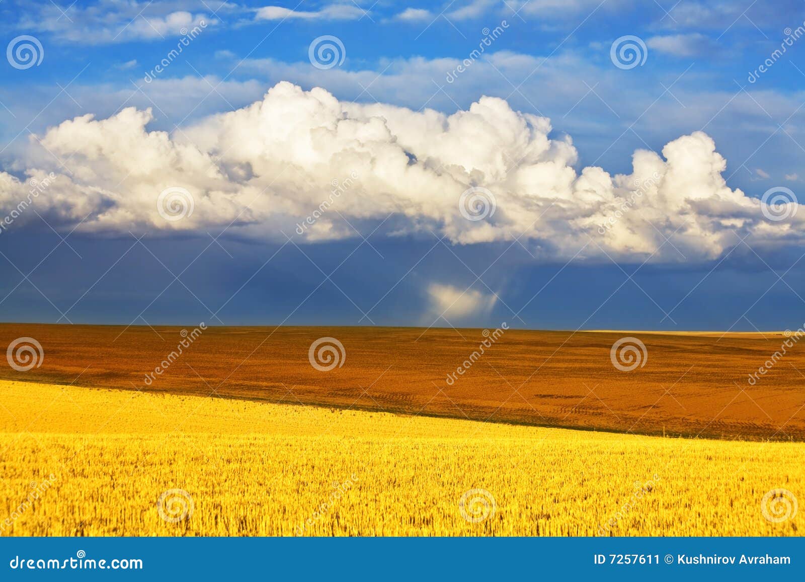 Huge field in the autumn stock image. Image of heaven - 7257611