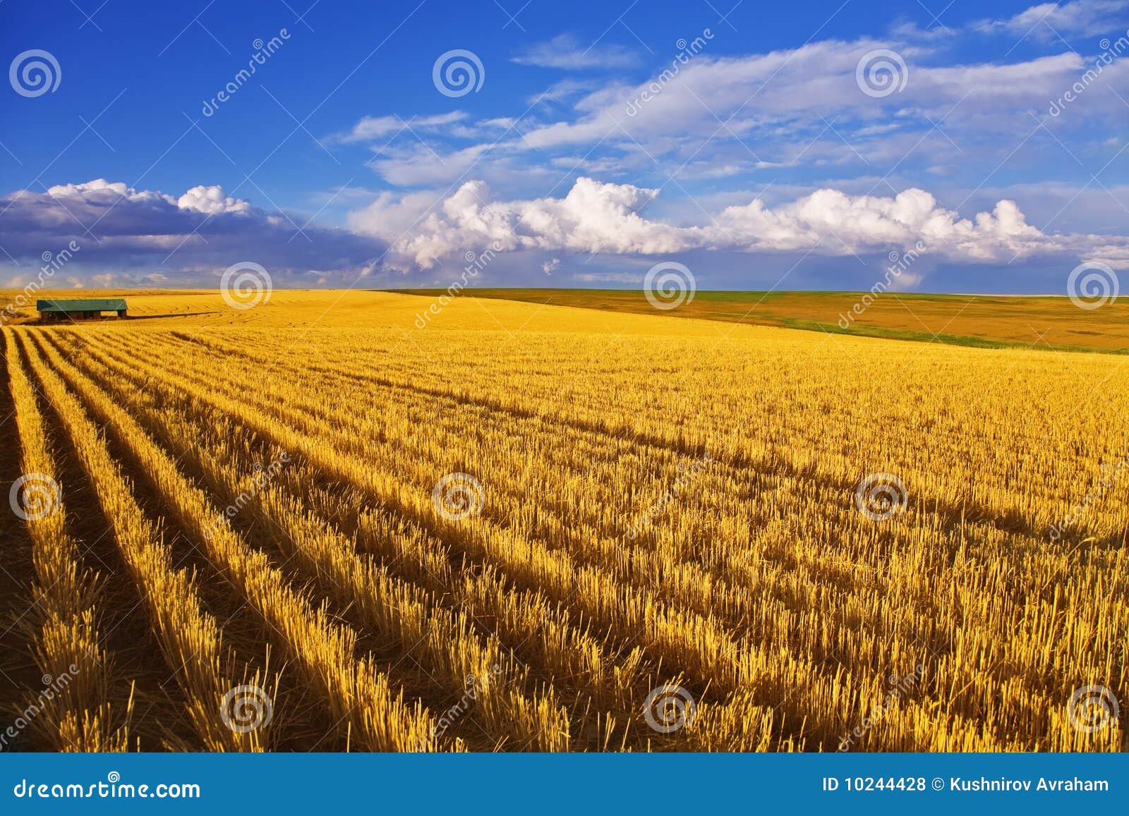 Huge field and small farm stock photo. Image of environmental - 10244428