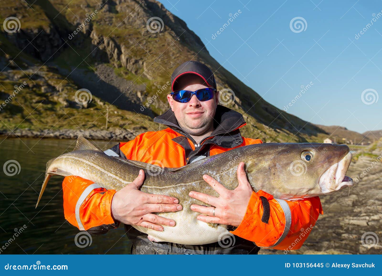 The huge fish. Cod stock image. Image of river, hobby - 103156445