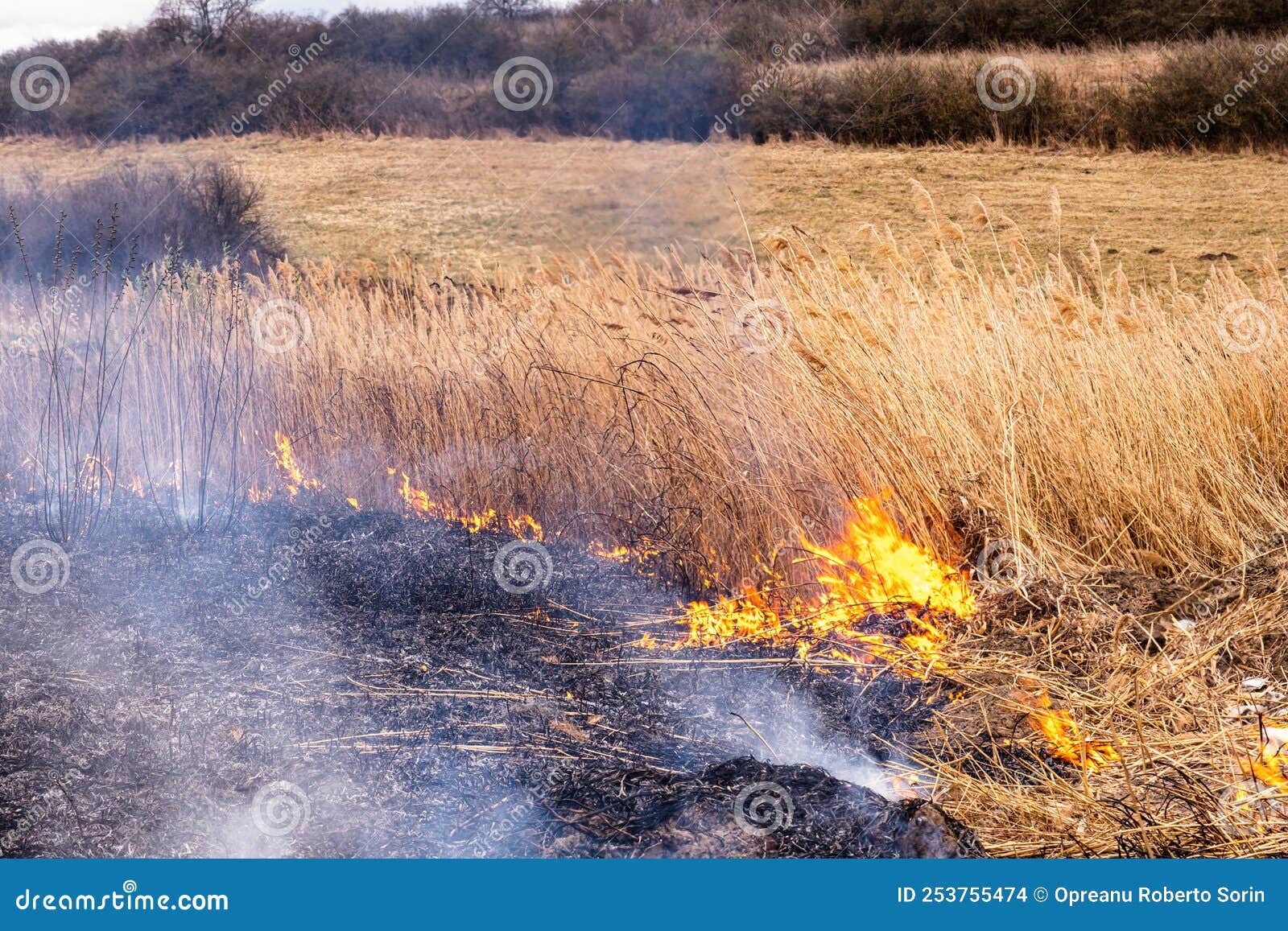 A Huge Flame of Fire Burns the Nature Around. Stock Photo - Image of ...