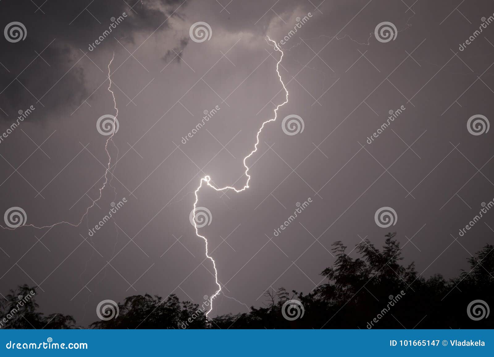 Huge Fork Lightnings and Thunder during Heavy Summer Storm. Stock Image ...