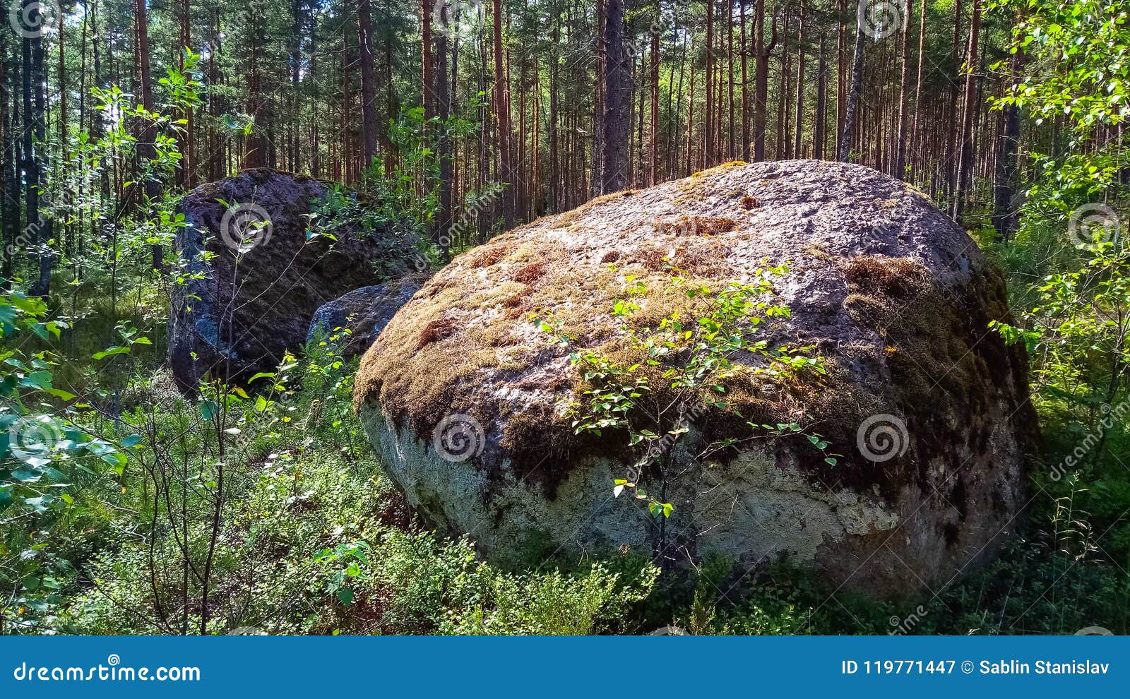 A Huge Granite Boulder with a Deep Forest. Stock Image - Image of large ...