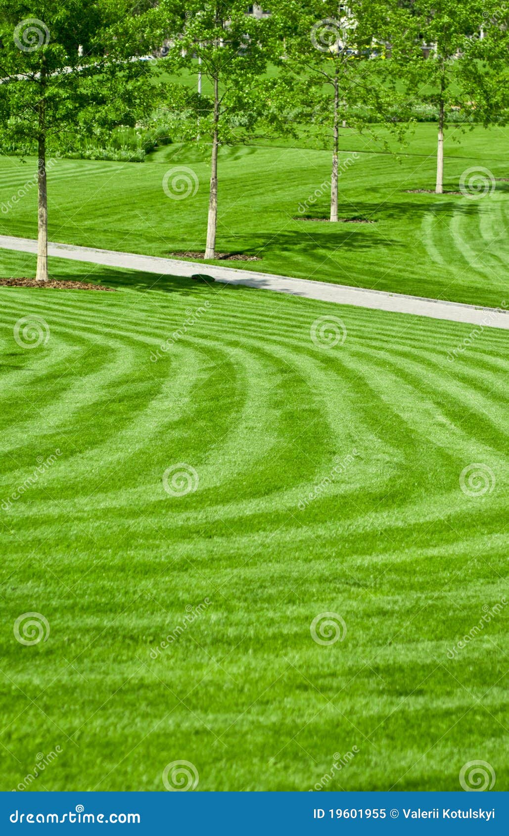 Huge green lawn stock image. Image of summer, landscaping - 19601955