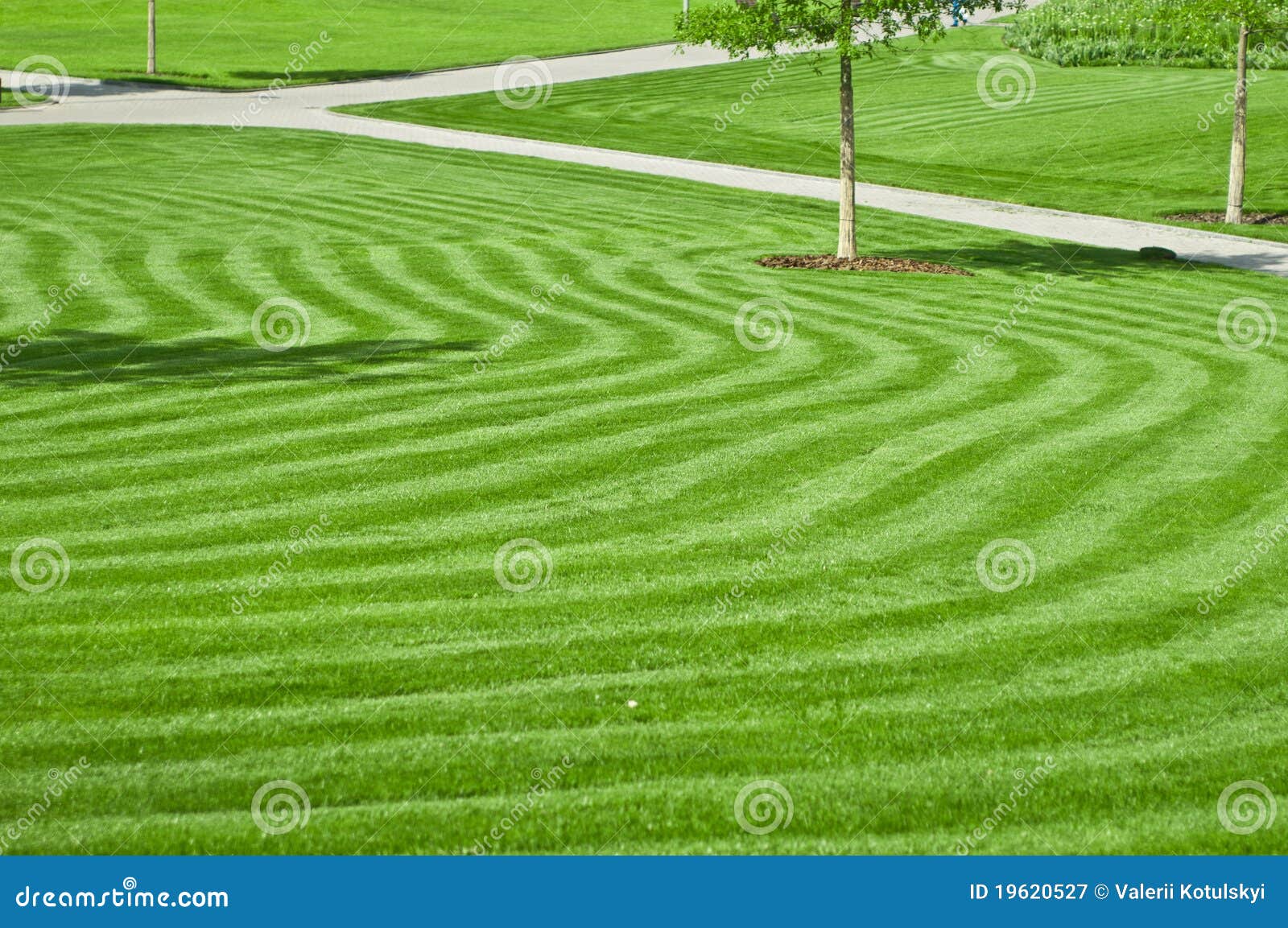 Huge green lawn stock image. Image of summer, life, lawn - 19620527