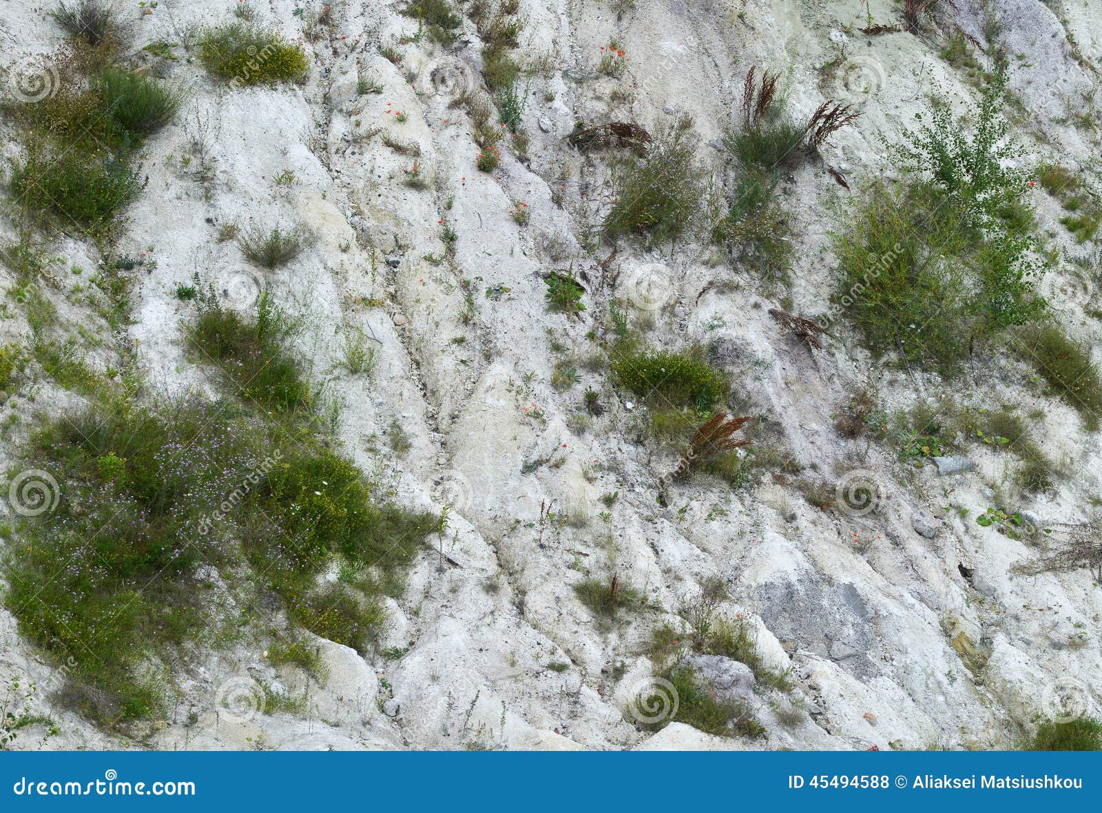 Huge Limestone Boulders, Megalith Rock Formations In New Zealand Stock ...