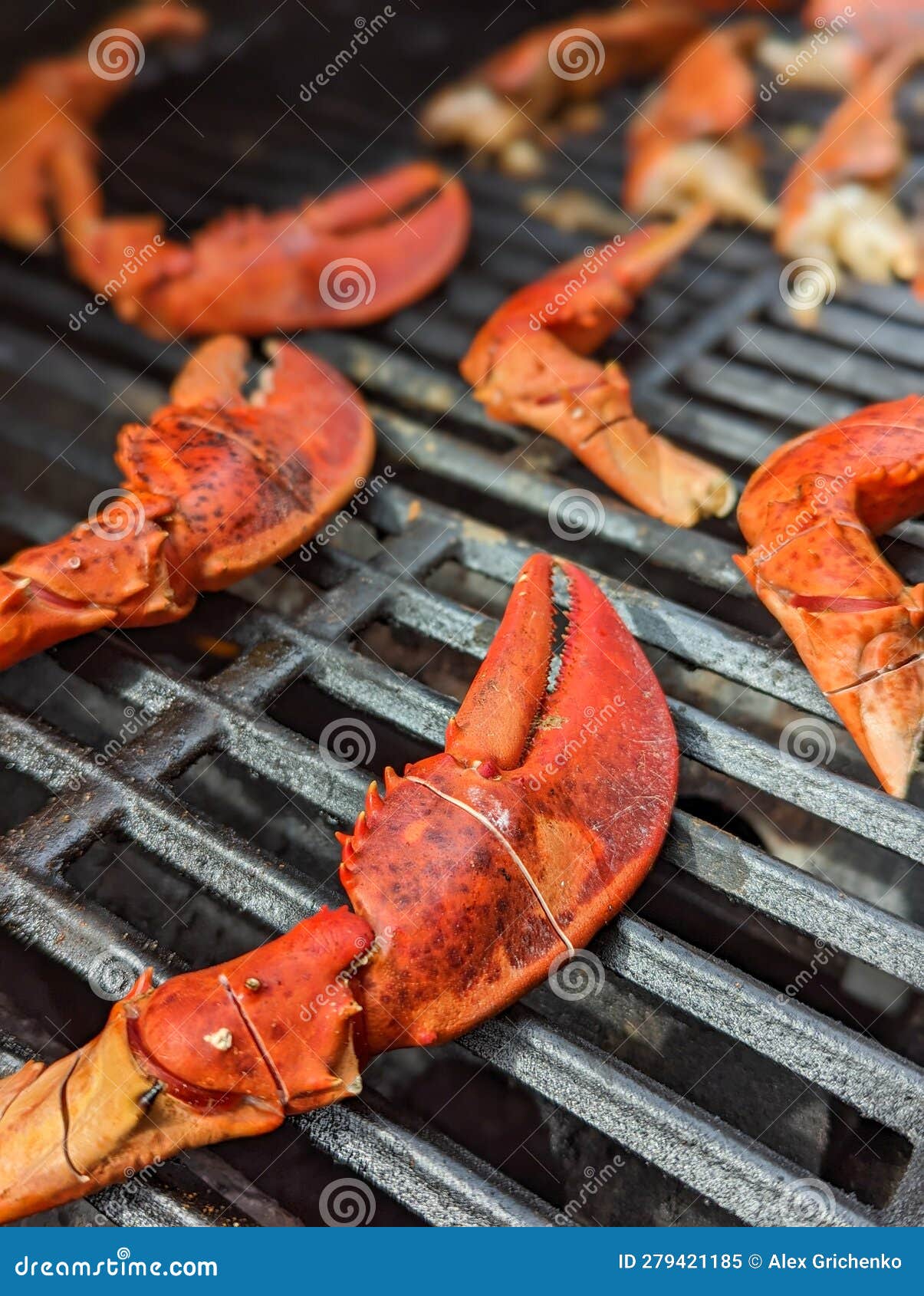Lobster-claws, Heliconia Flowers In The Garden. Common Names For The ...