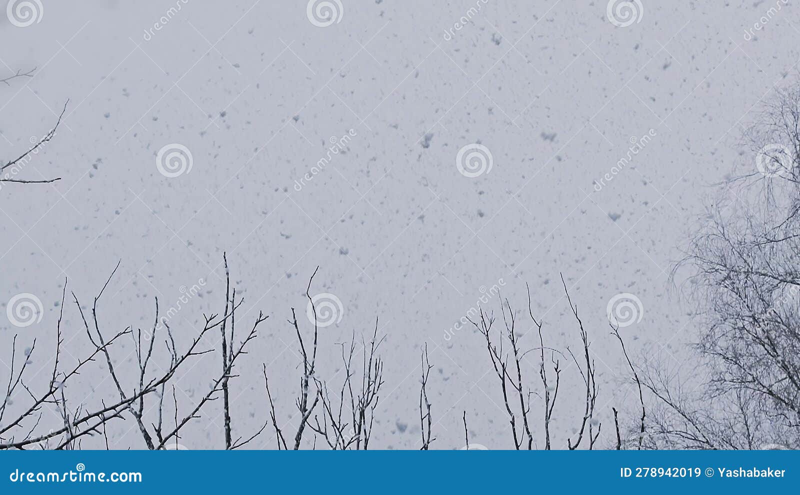 Huge Lumps of Snow are Falling from the Sky in the Forest Stock Video ...