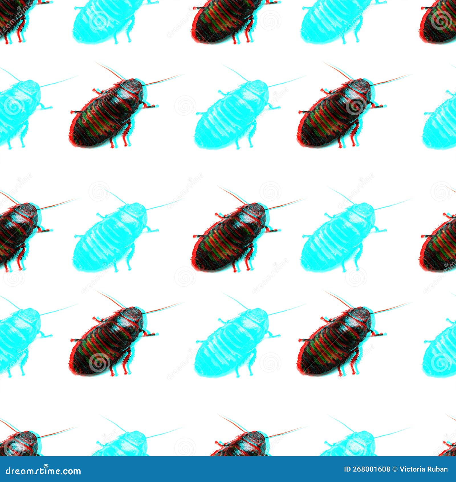 Madagascar Hissing Cockroach Insect Isolated On A Transparent ...