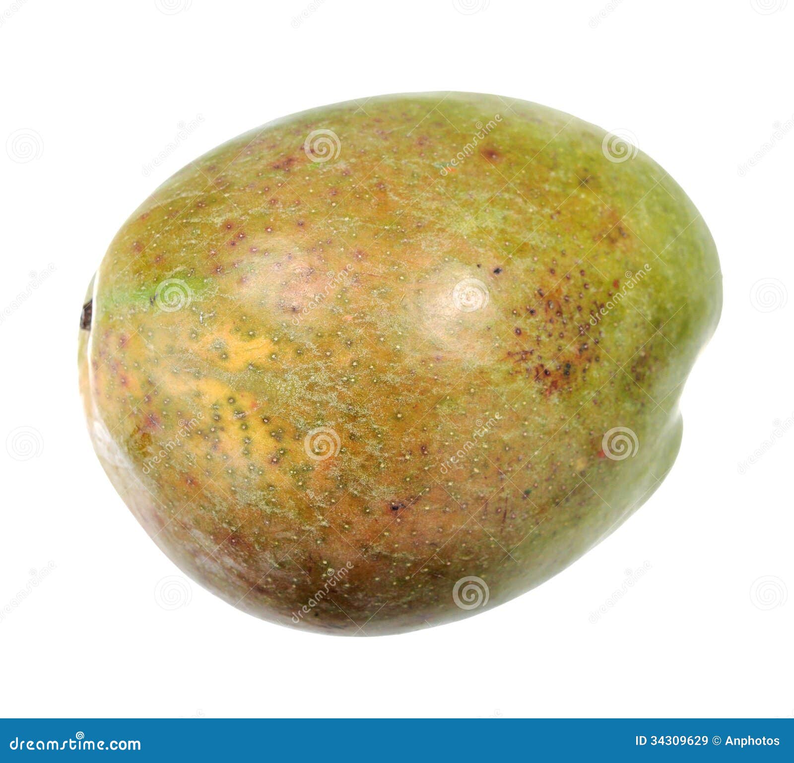 Huge mango stock image. Image of ripe, organic, mango - 34309629