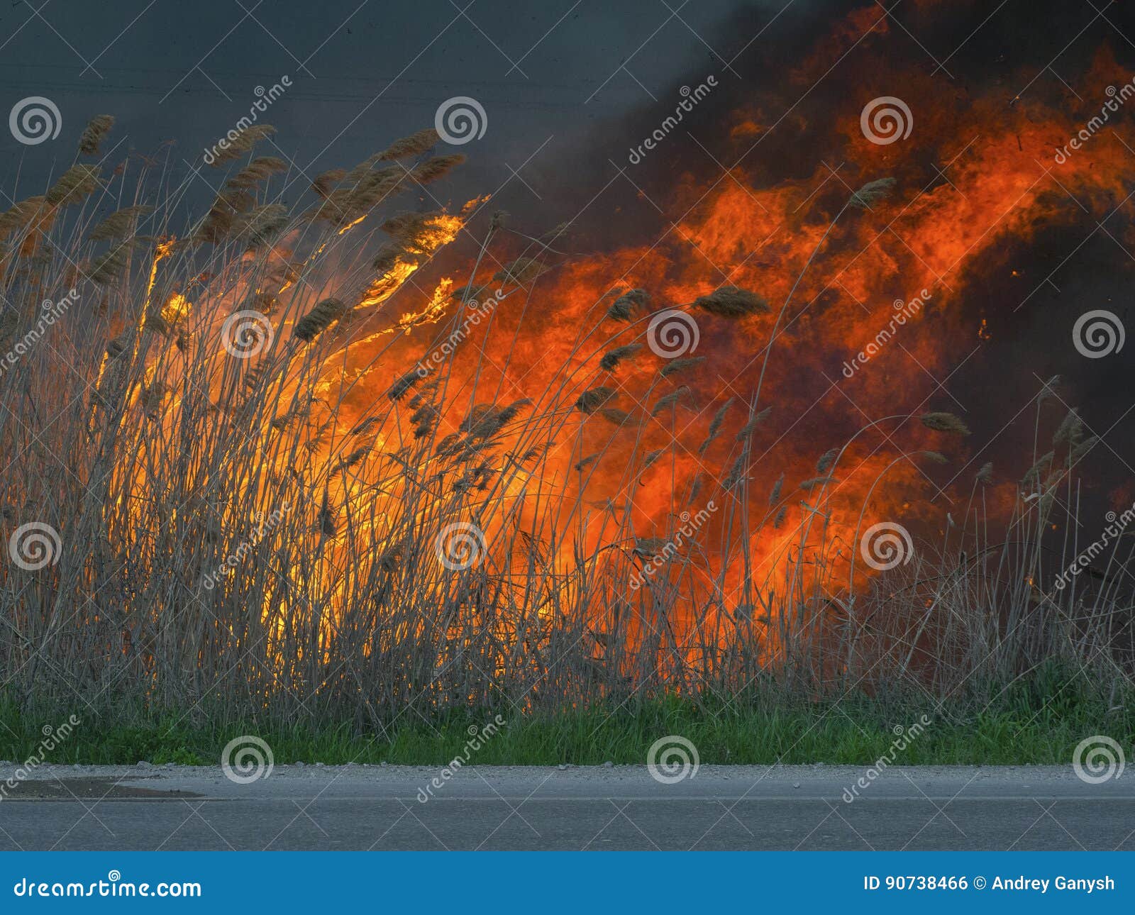 Huge Massive Fire in the Open Air Stock Photo - Image of copyspace ...