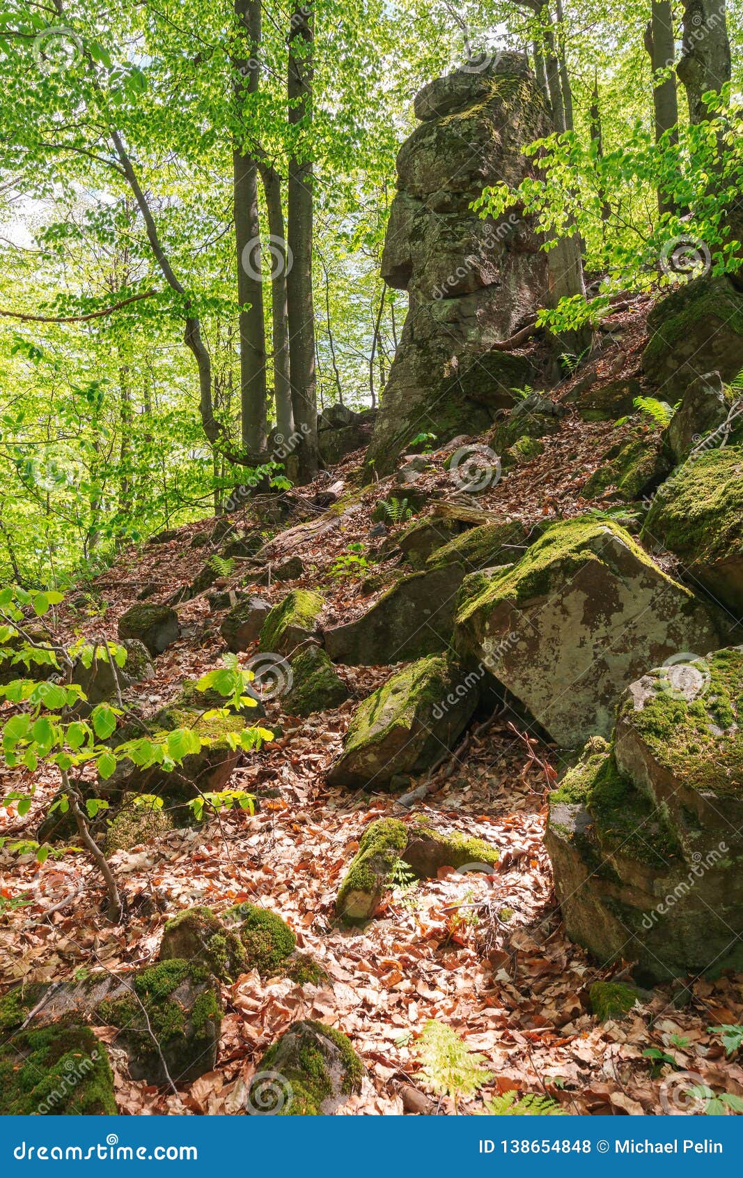 Huge Mossy Cliff in the Forest Stock Photo - Image of nature, outdoor ...