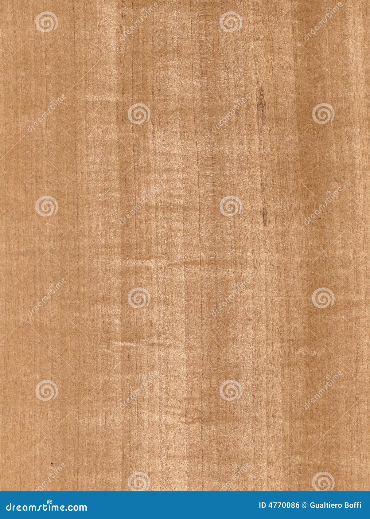 Huge natural wood texture stock photo. Image of candid - 4770086