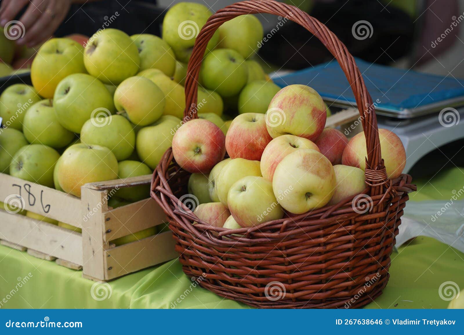 A Huge Number of Fresh Apples of Different Varieties on a Big Sale ...