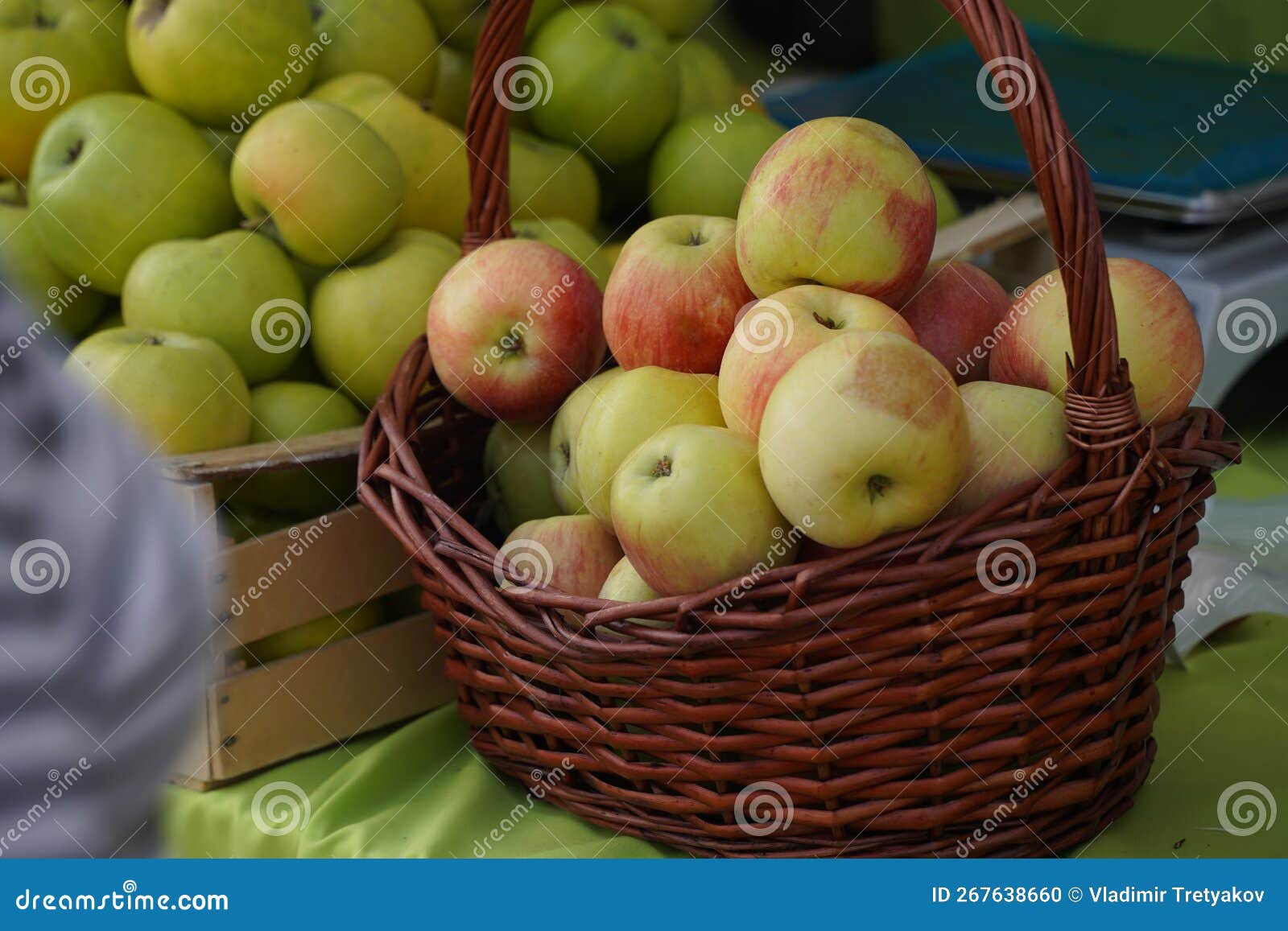 A Huge Number of Fresh Apples of Different Varieties on a Big Sale ...