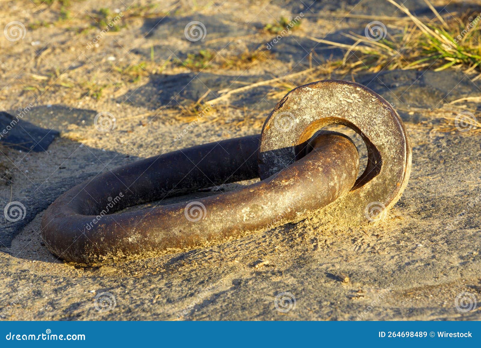 Huge, Old, Rusted Shackle in the Woods Stock Image - Image of shackle ...