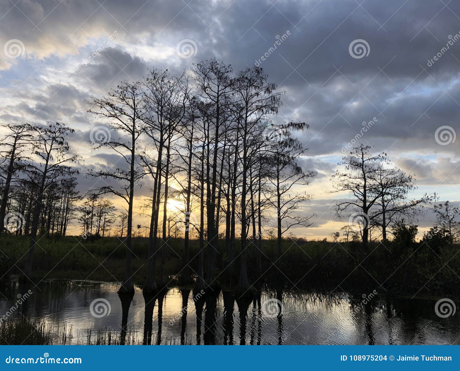 Sunburst in the marsh stock photo. Image of light, cloud - 108975204