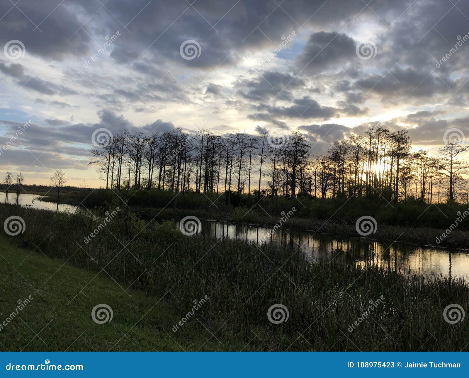Sunburst in the marsh stock image. Image of nature, carolina - 108975423