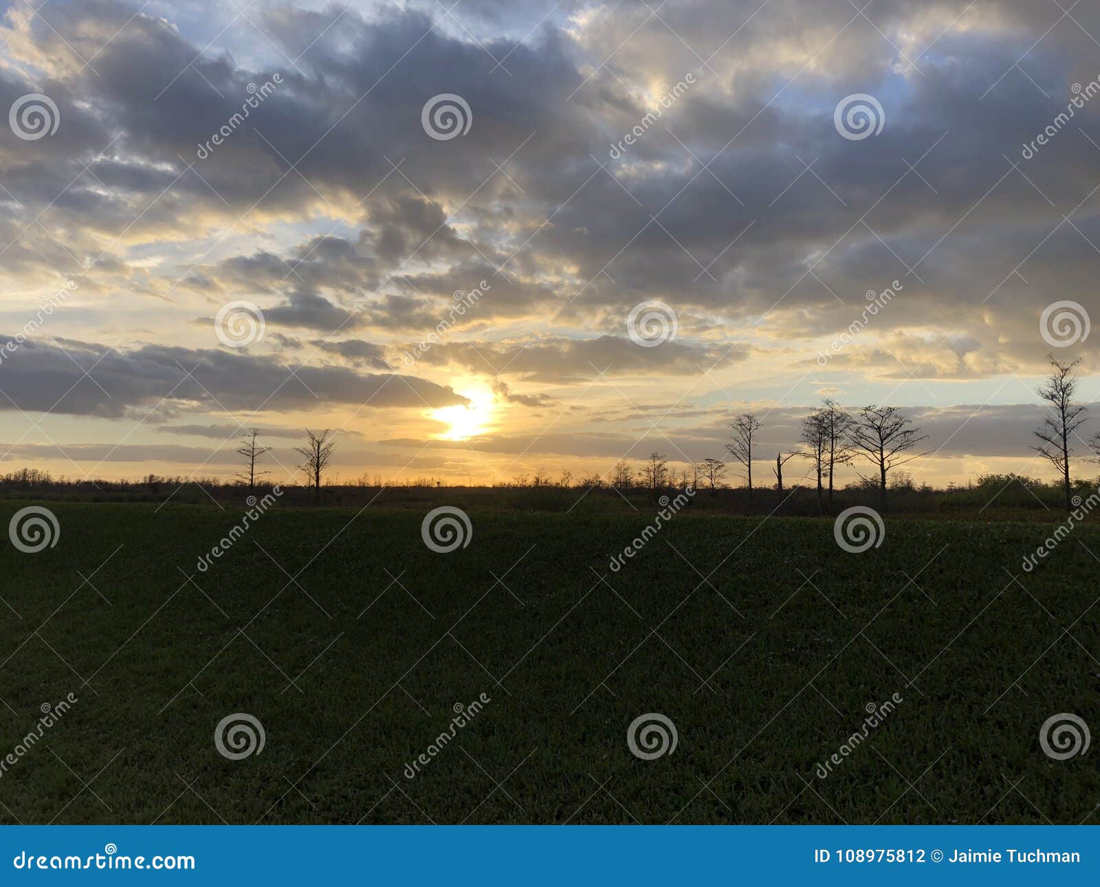 Sunburst in the marsh stock photo. Image of lagoon, dusk - 108975812