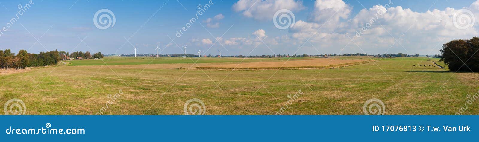 Huge Panorama of the Dutch Meadows Stock Image - Image of grassland ...