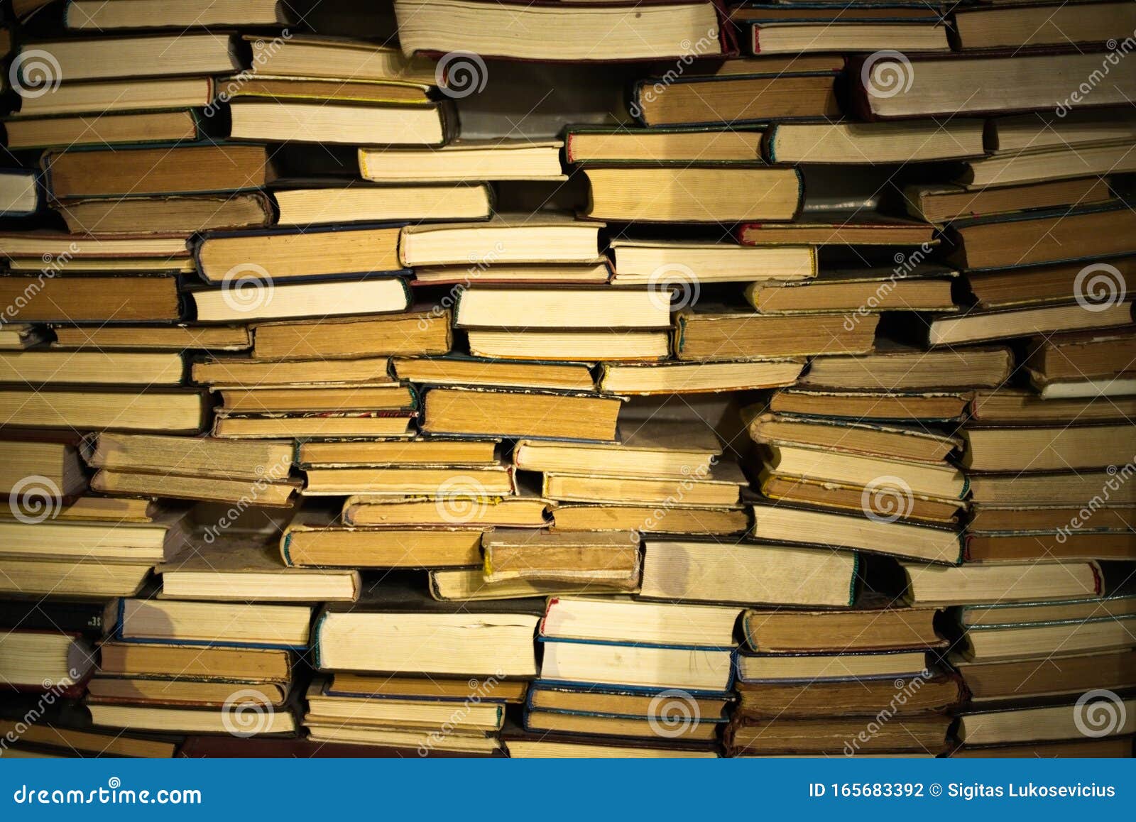 A Huge Pile of Different Books in the Library. a Library Full of Books ...