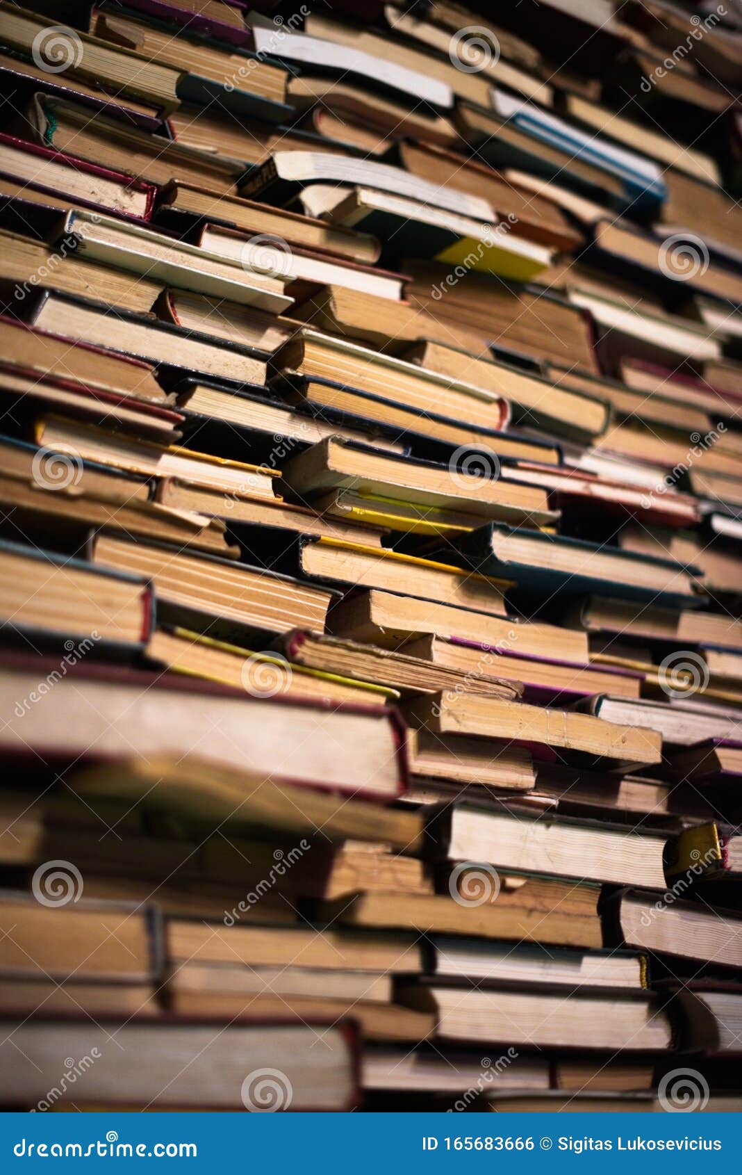 A Huge Pile of Different Books in the Library. a Library Full of Books ...