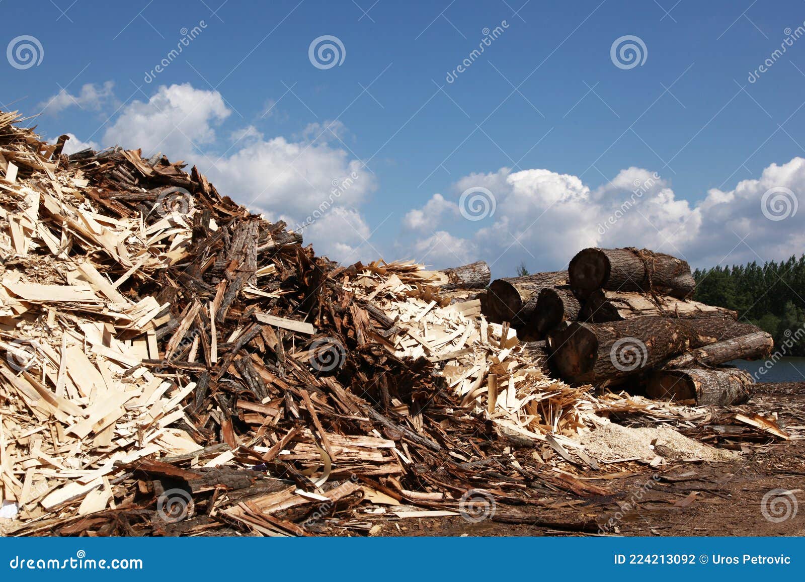 Huge pile of wood waste stock photo. Image of producing - 224213092