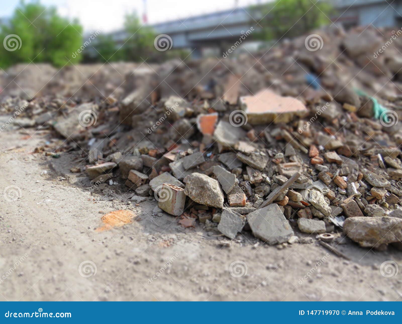 Huge Piles Of Fresh Big Size Shells Royalty-Free Stock Photo ...