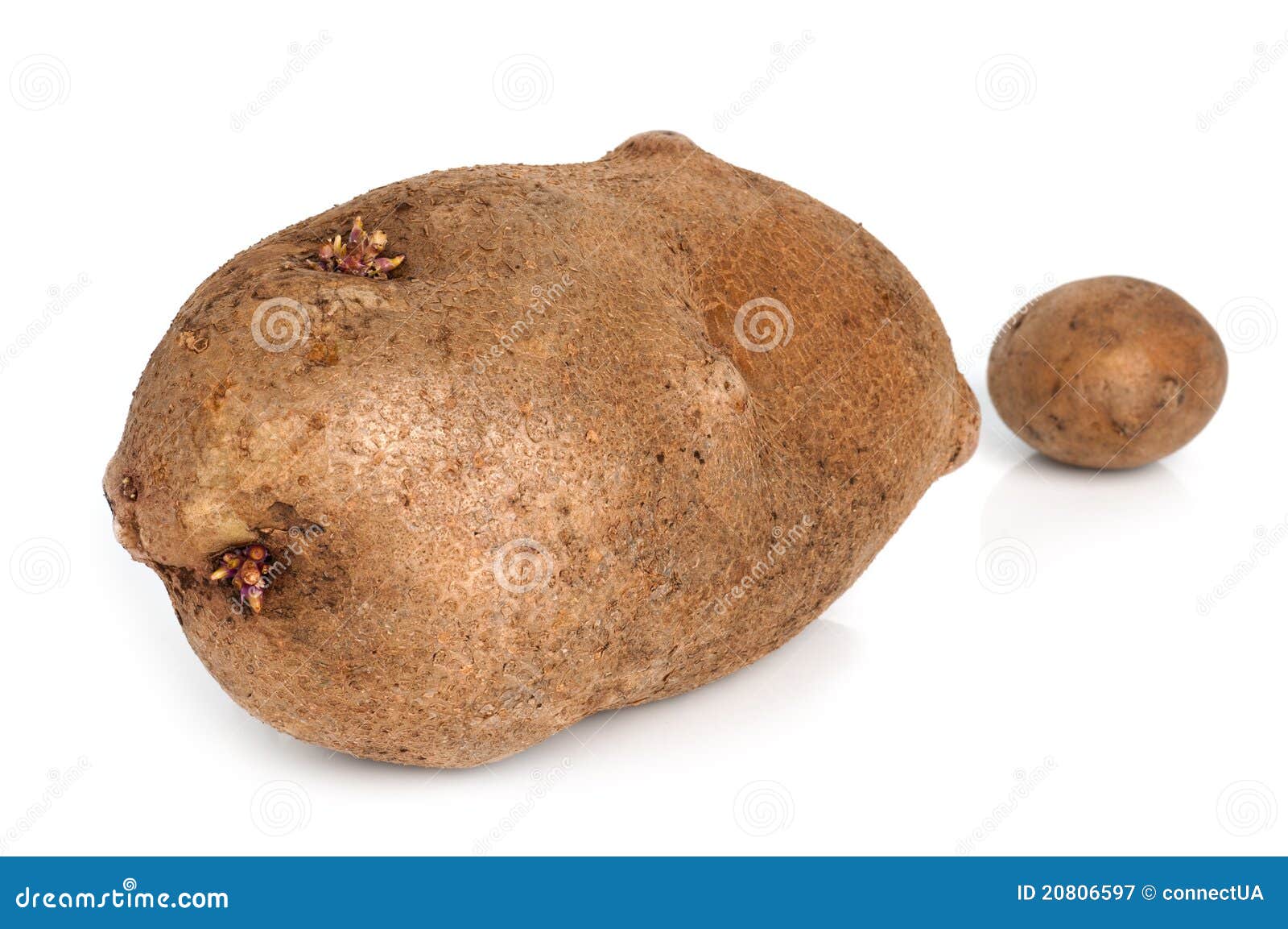 Huge potato stock image. Image of macro, surface, organic - 20806597