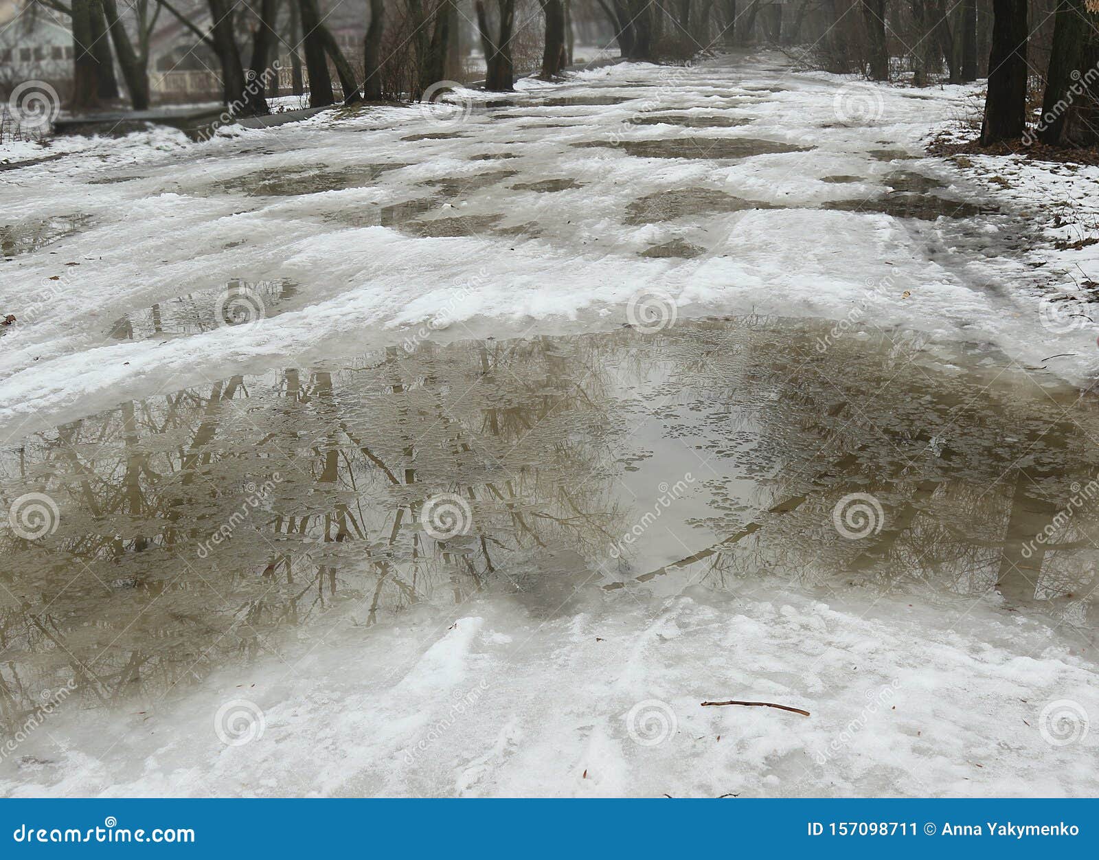 Huge Puddle with Reflection of Tree and Branches on a Winter Road Stock ...