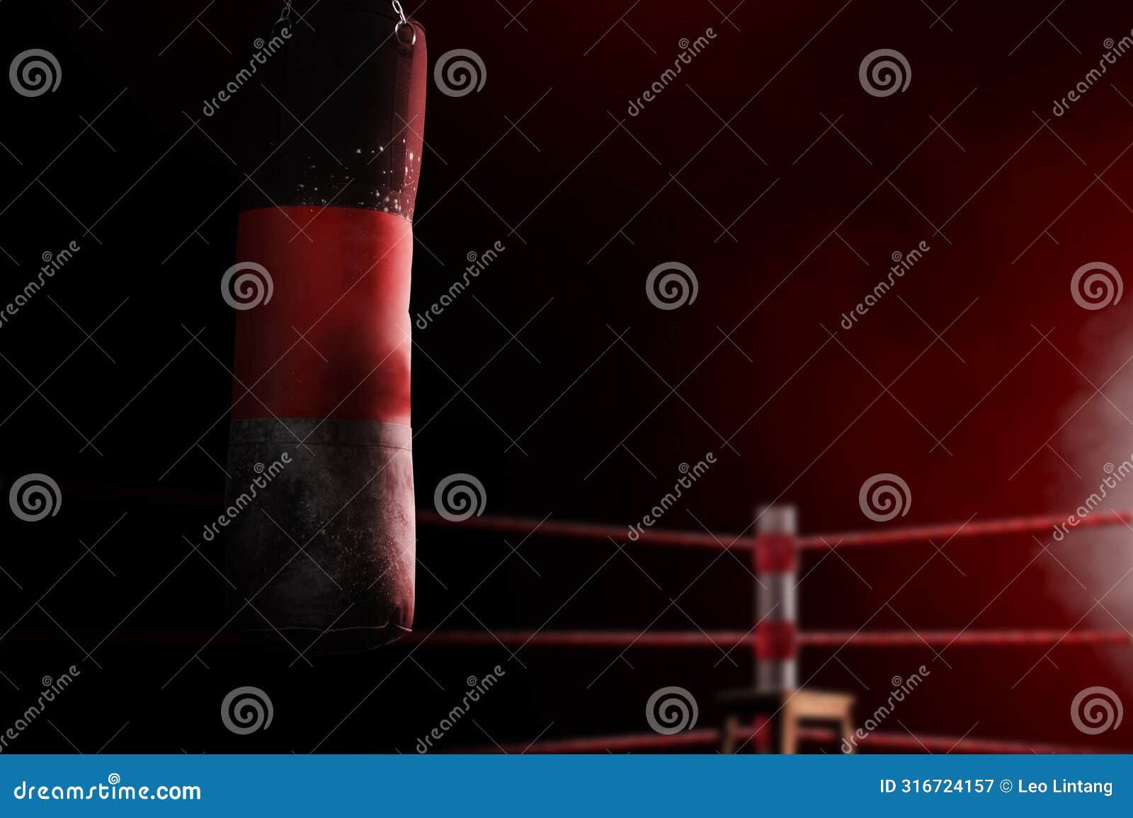 Huge Punching Bag in the Middle of a Boxing Ring Stock Image - Image of ...