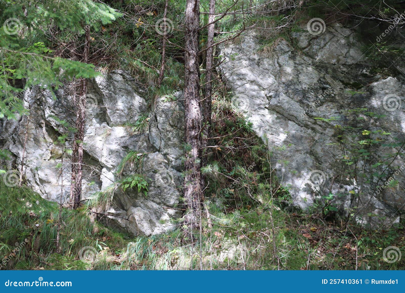Huge Rock Face Hidden in the Undergrowth Stock Image - Image of rocks ...