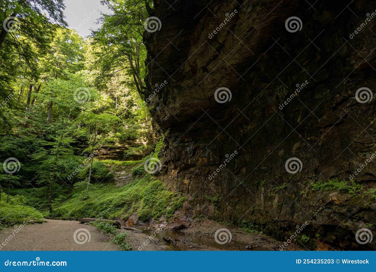 Huge Rock Formation in the Middle of a Forest Stock Image - Image of ...