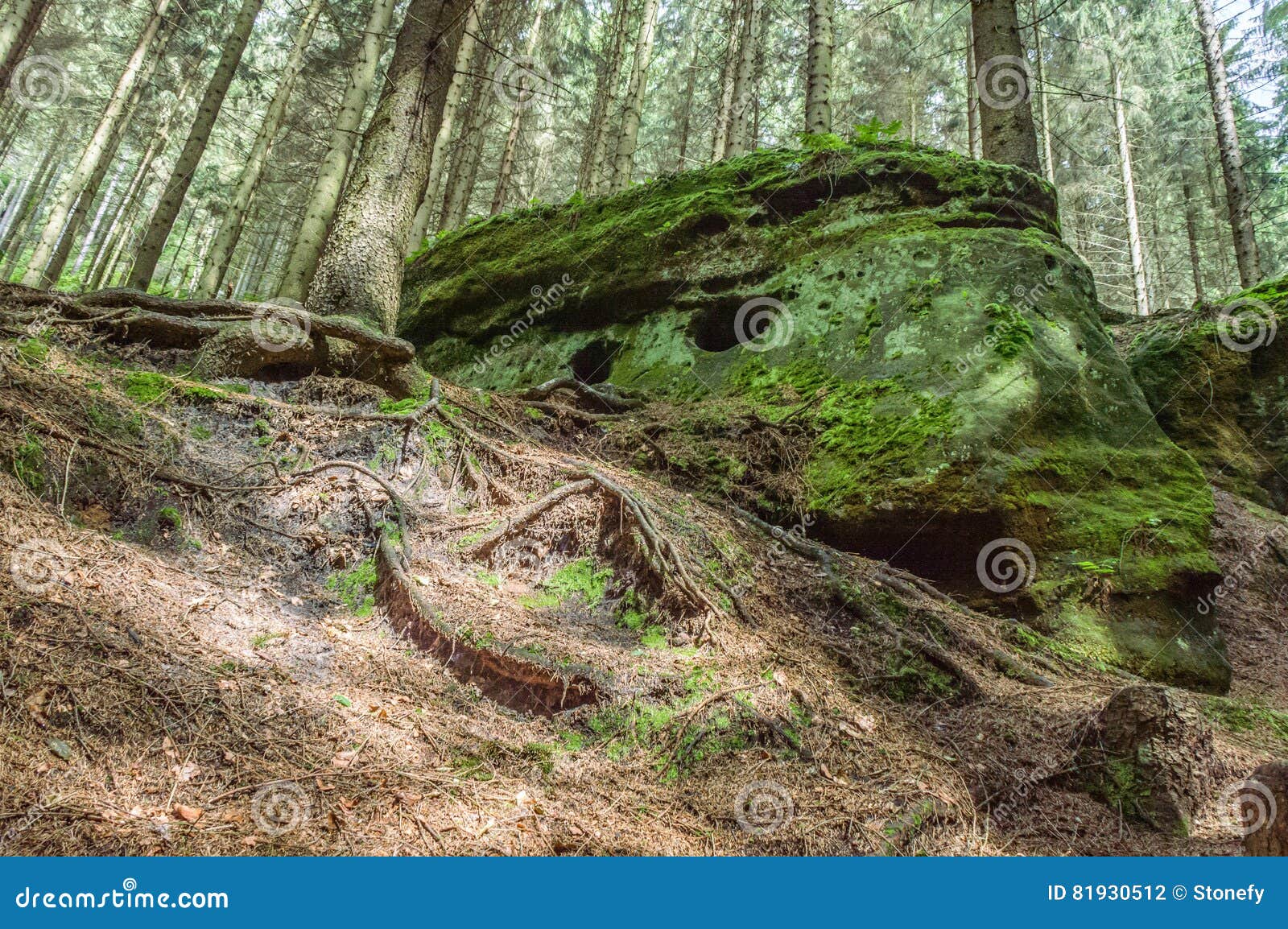 Huge Rock Formation in the Middle of a Forest Stock Photo - Image of ...