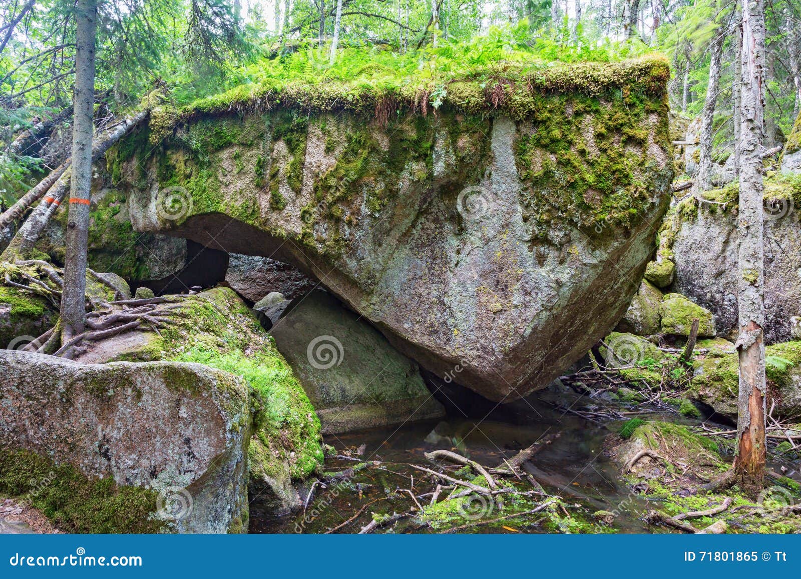 Huge rocks in forest stock image. Image of inside, people - 71801865