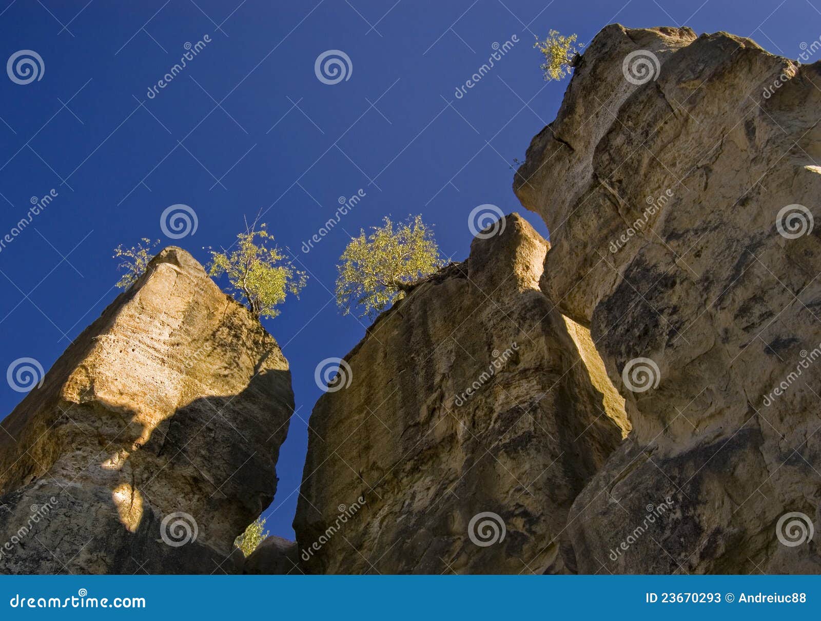 Huge Rocks with Trees on Top Stock Image - Image of eroded, formation ...