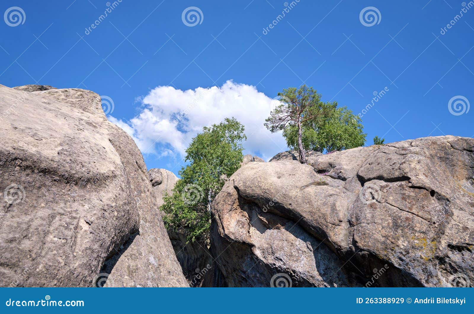Huge Rocky Boulder Formations High in Mountains with Growing Trees on ...