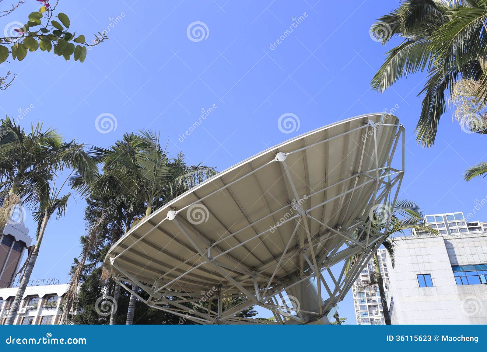 Huge satellite dish stock image. Image of exchange, cell - 36115623